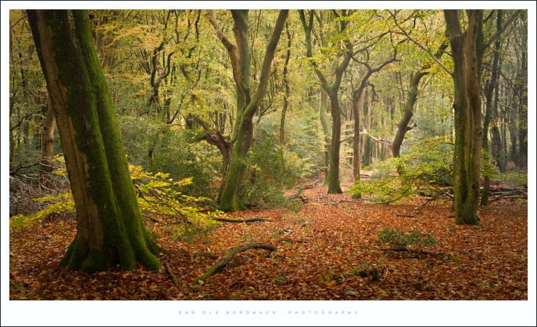 LANDSCAPEPHOTOGRAPHY ETC. – Dag Ole Nordhaug / photographer